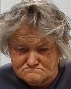 Mcentire, Sharon Denise Arrested in Collin County, Texas